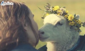 Lamb (2021) Ending Explained [Spoiler] | Brainless Pen