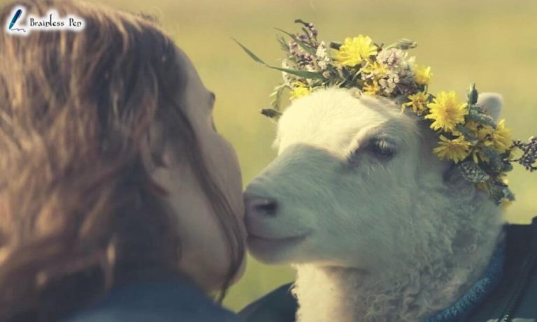 Lamb (2021) Ending Explained [Spoiler] | Brainless Pen